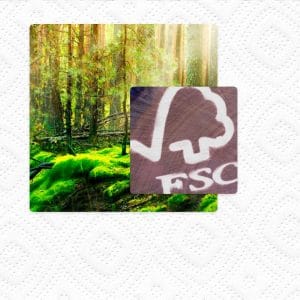 Sopalin® - Le plus mythique des rouleaux d’essuie-tout