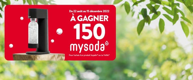 Sopalin® - Le plus mythique des rouleaux d’essuie-tout