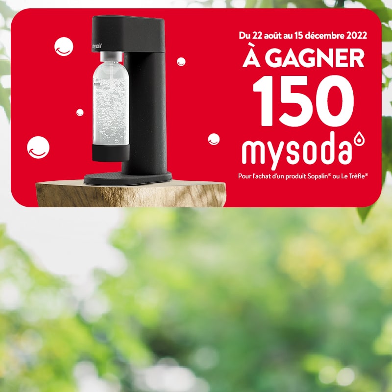 Sopalin® - Le plus mythique des rouleaux d’essuie-tout